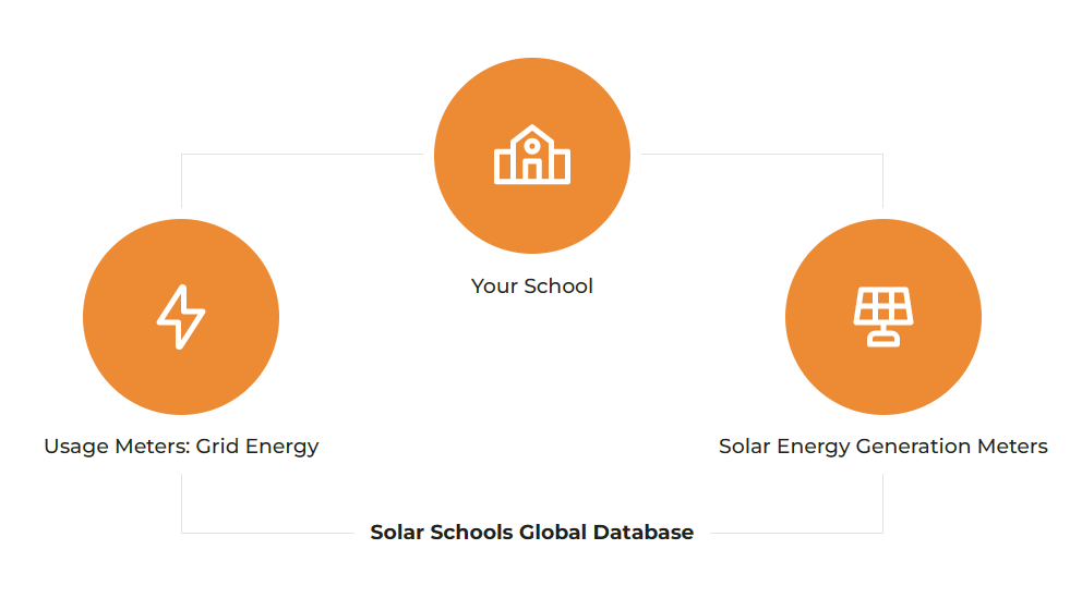 The Program - Zero Positive